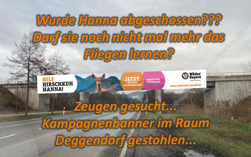 Hanna-Banner in Deggendorf gestohlen: Wer hat was gesehen? – Wildes ...